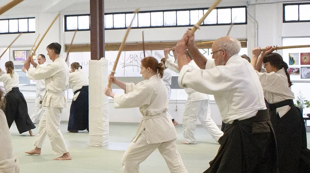¿Qué hace que el aikido sea un arte marcial beneficioso y tan único ...